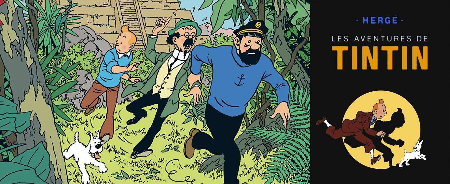 Les Aventures de Tintin - Série animée (1992)
